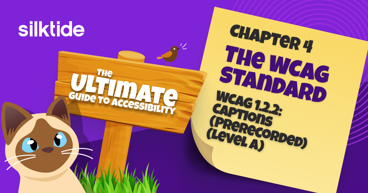 WCAG 1.2.2: Captions (Prerecorded) (Level A) - Silktide