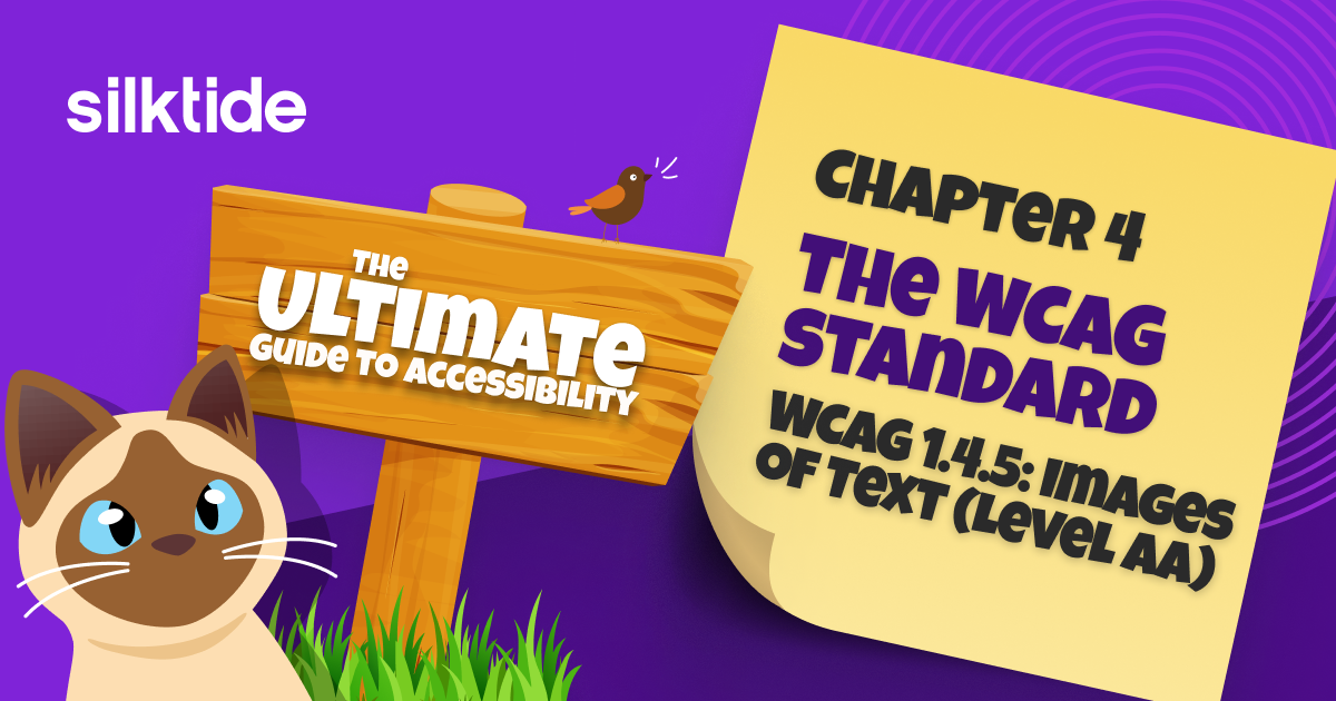 WCAG 1.4.5: Images of Text (Level AA) - Silktide