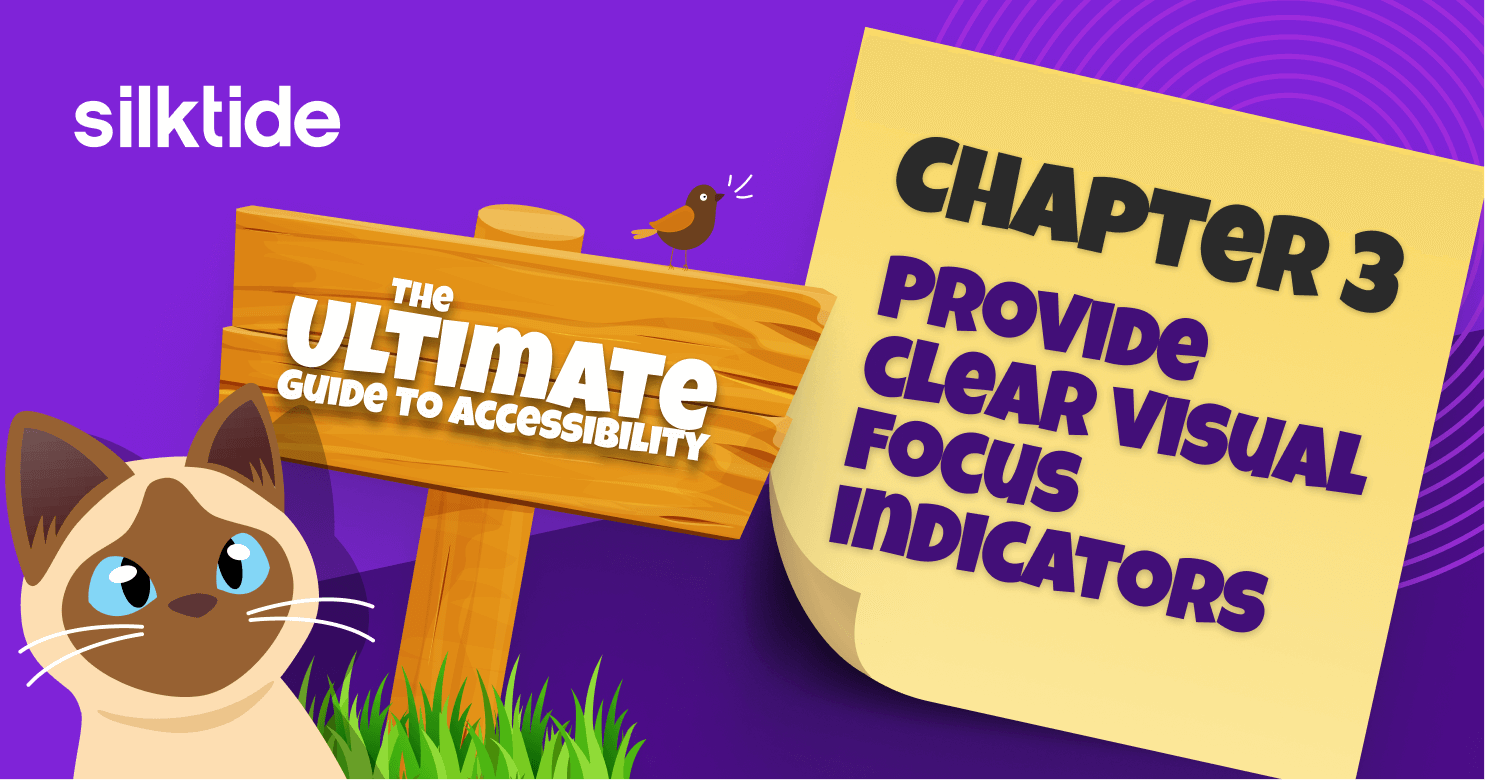 Provide clear visual focus indicators - Silktide