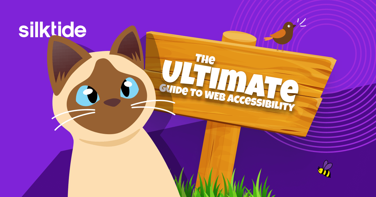 Web accessibility: The ultimate guide - Silktide